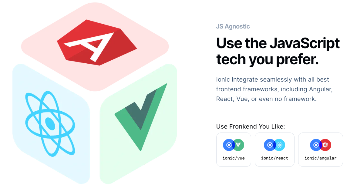 How to Hire Ionic Developer Programmers - Complete Guide